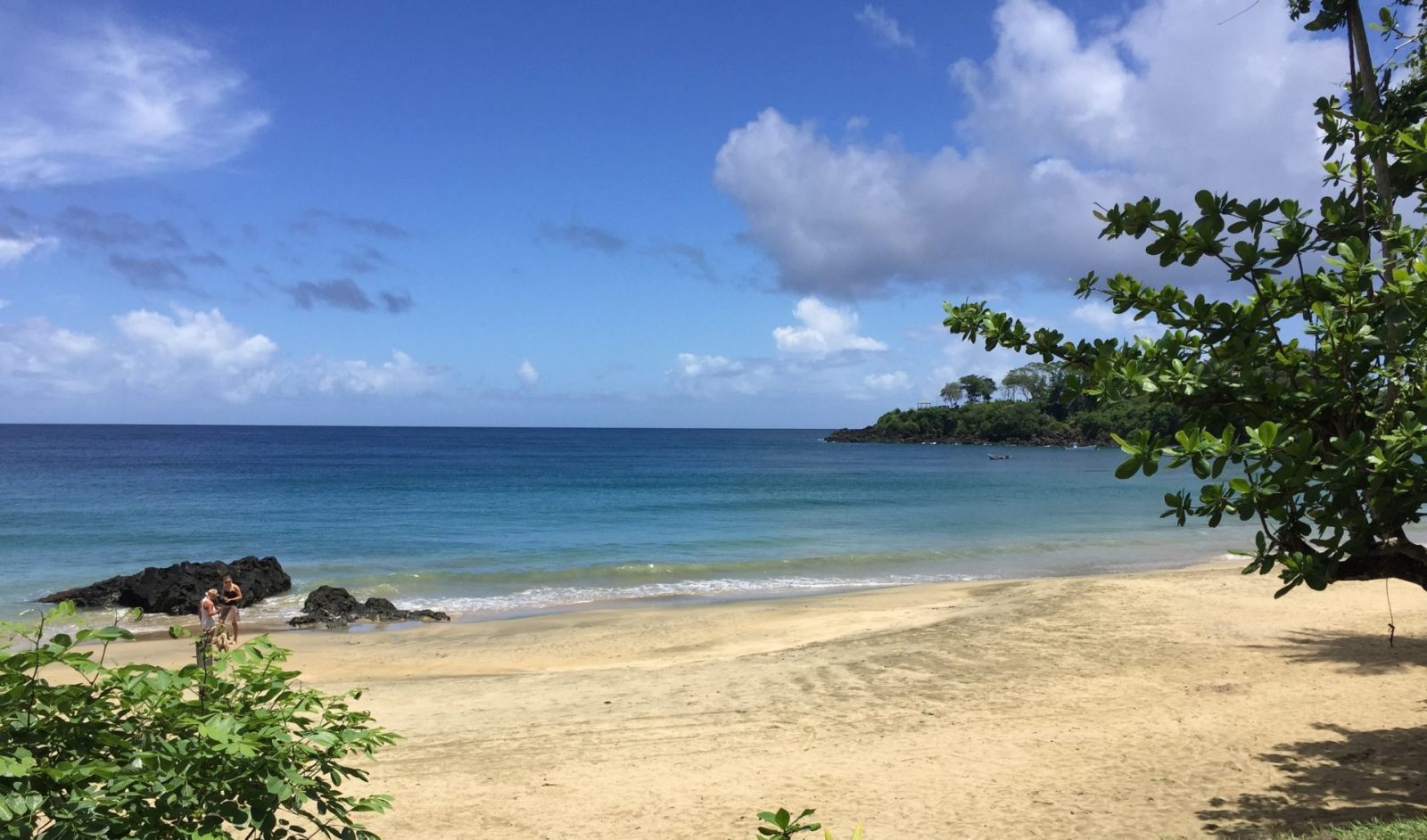 Boutique Villa Near Beach & Airport | Tobago | The Petit Palais
